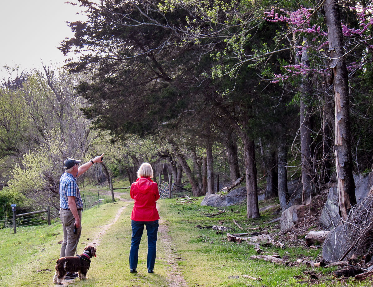 Chessie Trail – Downtown Lexington Virginia Guide